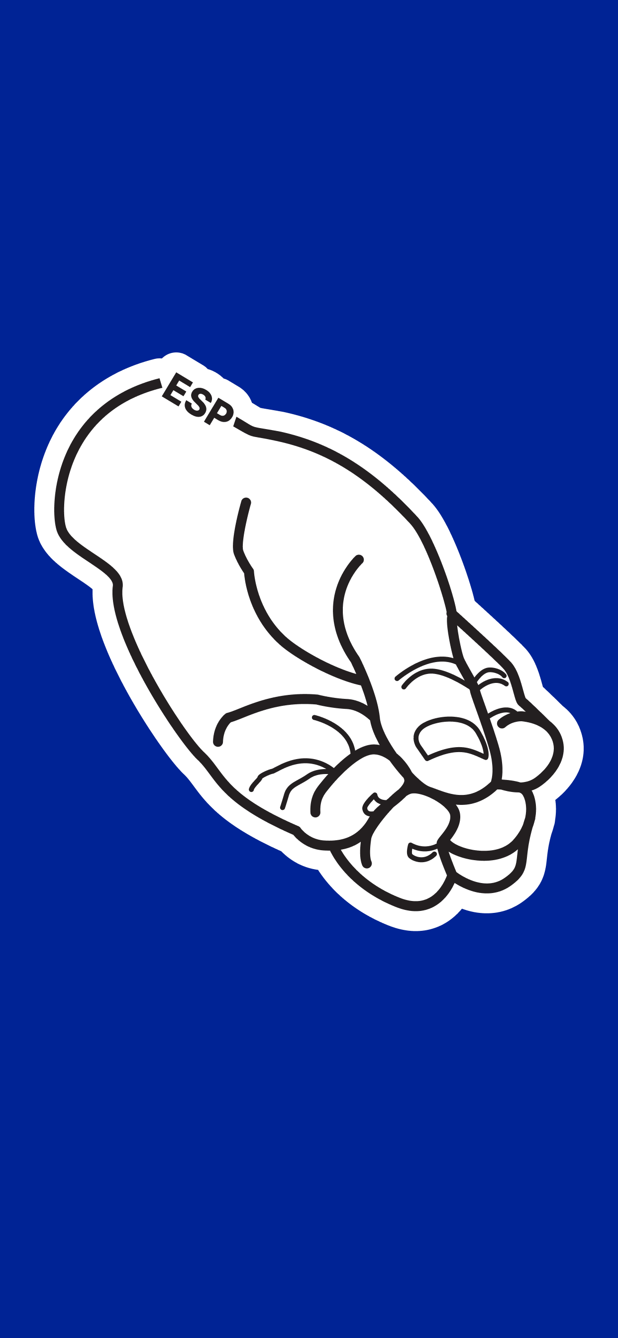 ESP Doodle Wallpapers 🇿🇦